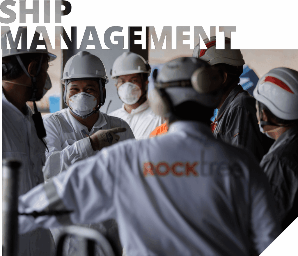 Our solutions | Rocktree