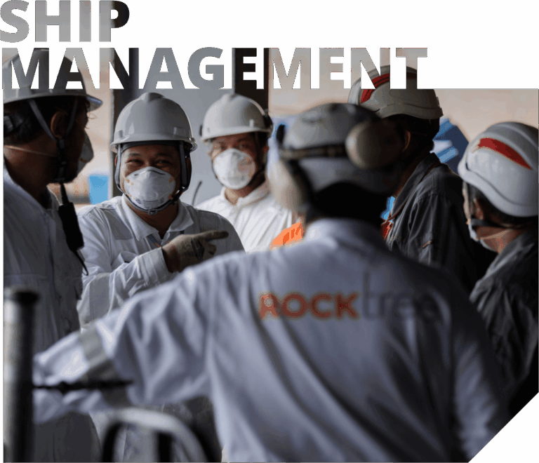 Our solutions | Rocktree